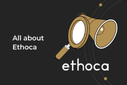 All about Ethoca company and Ethoca Alerts